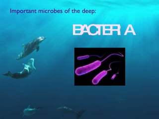 Microbe presentation | PPT