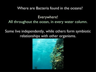 Microbe presentation | PPT