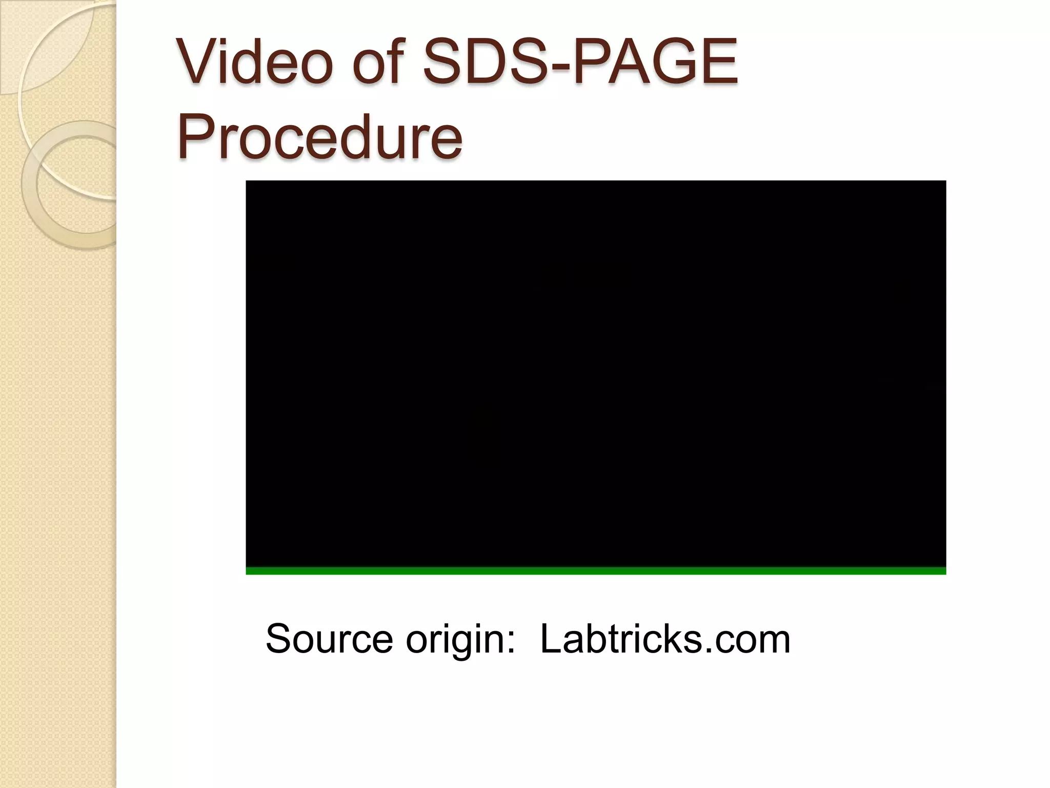 Sds-Page | PPTX