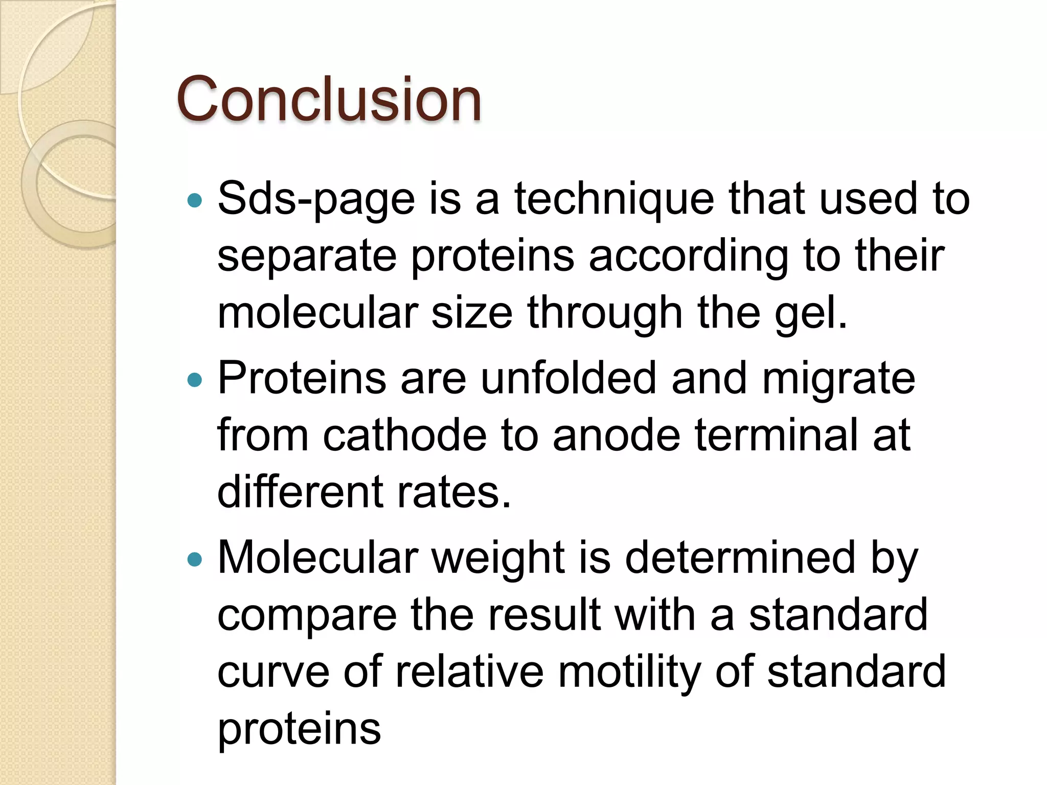 Sds-Page | PPTX