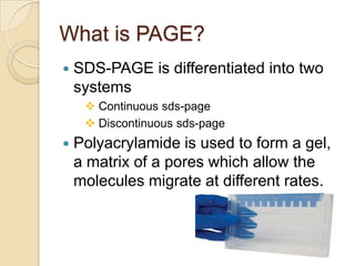 Sds-Page | PPT