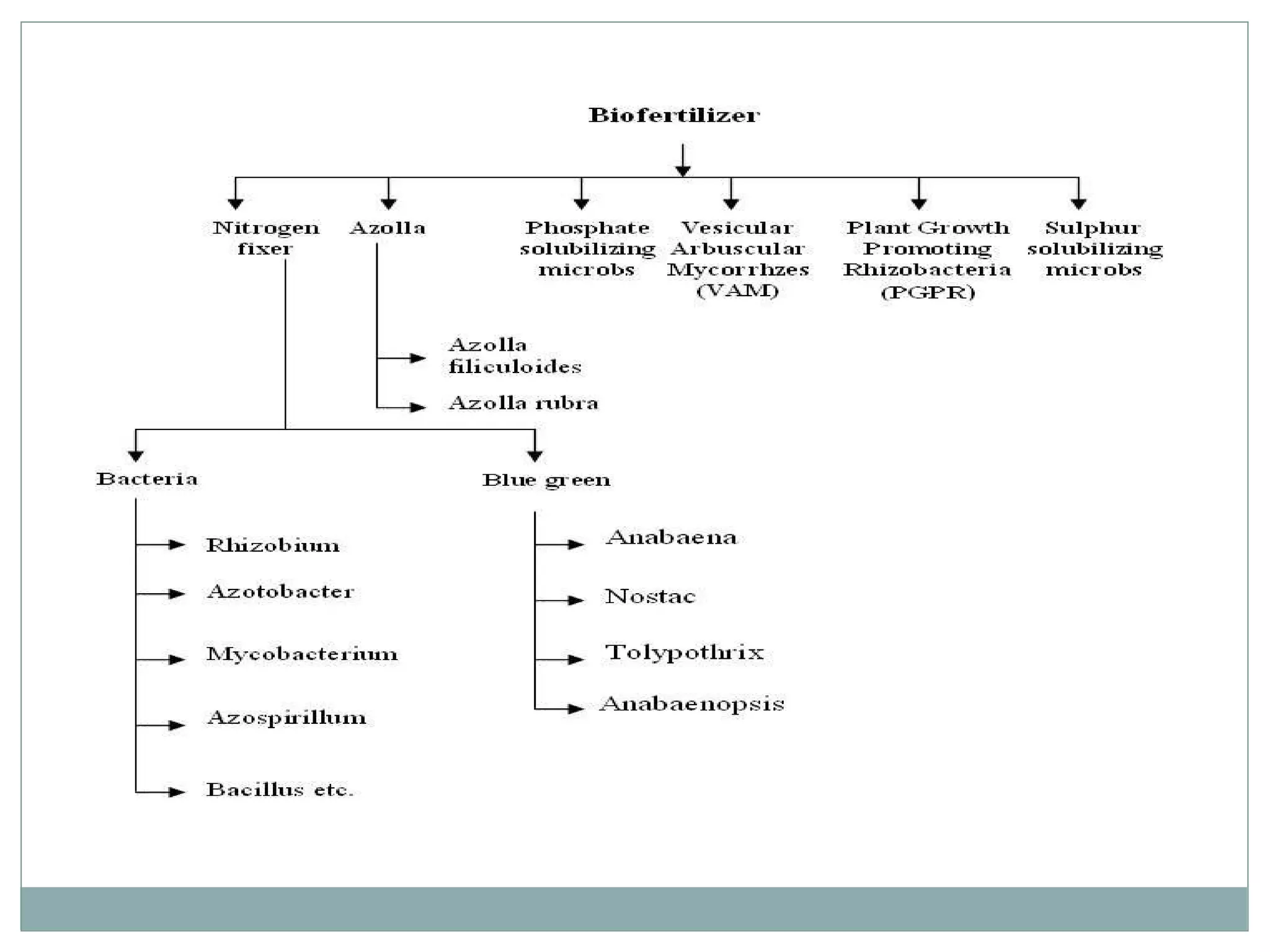 Microbes in human welfare | PPT