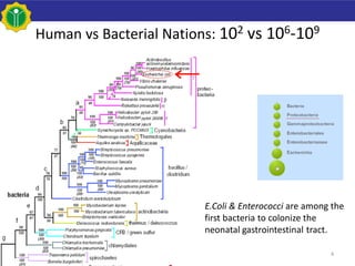 Microbes and us | PDF | Digestive Disorders | Diseases and Conditions