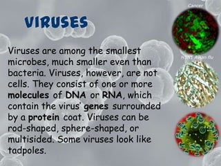 Microbes | PPTX | Biological Sciences | Science