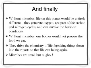 Microbes | PPTX | Biological Sciences | Science