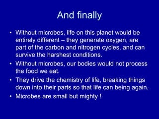 Microbes | PPT