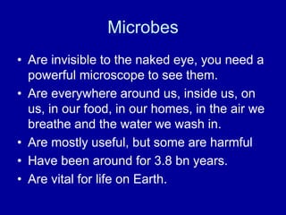 Microbes | PPT