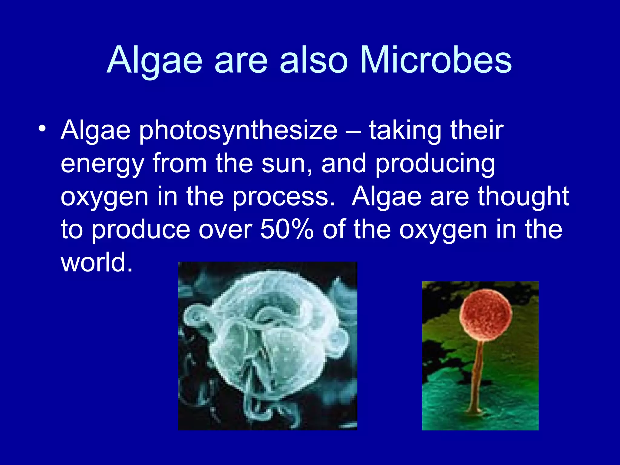 Microbes | PPT