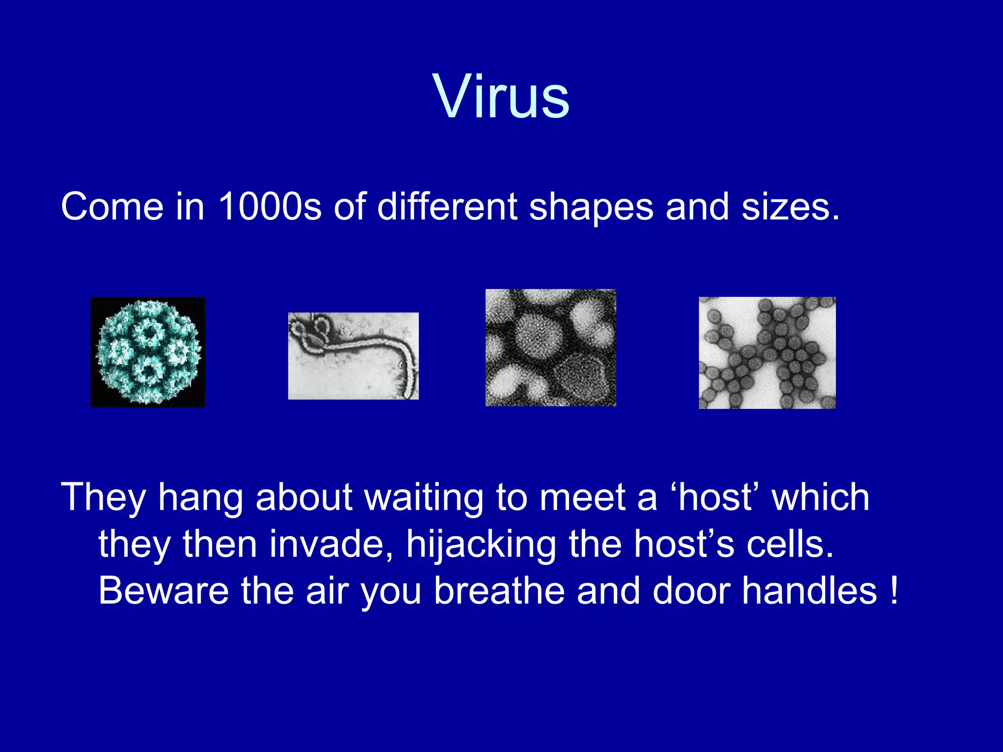 Microbes | PPT