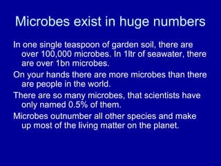 Microbes | PPT