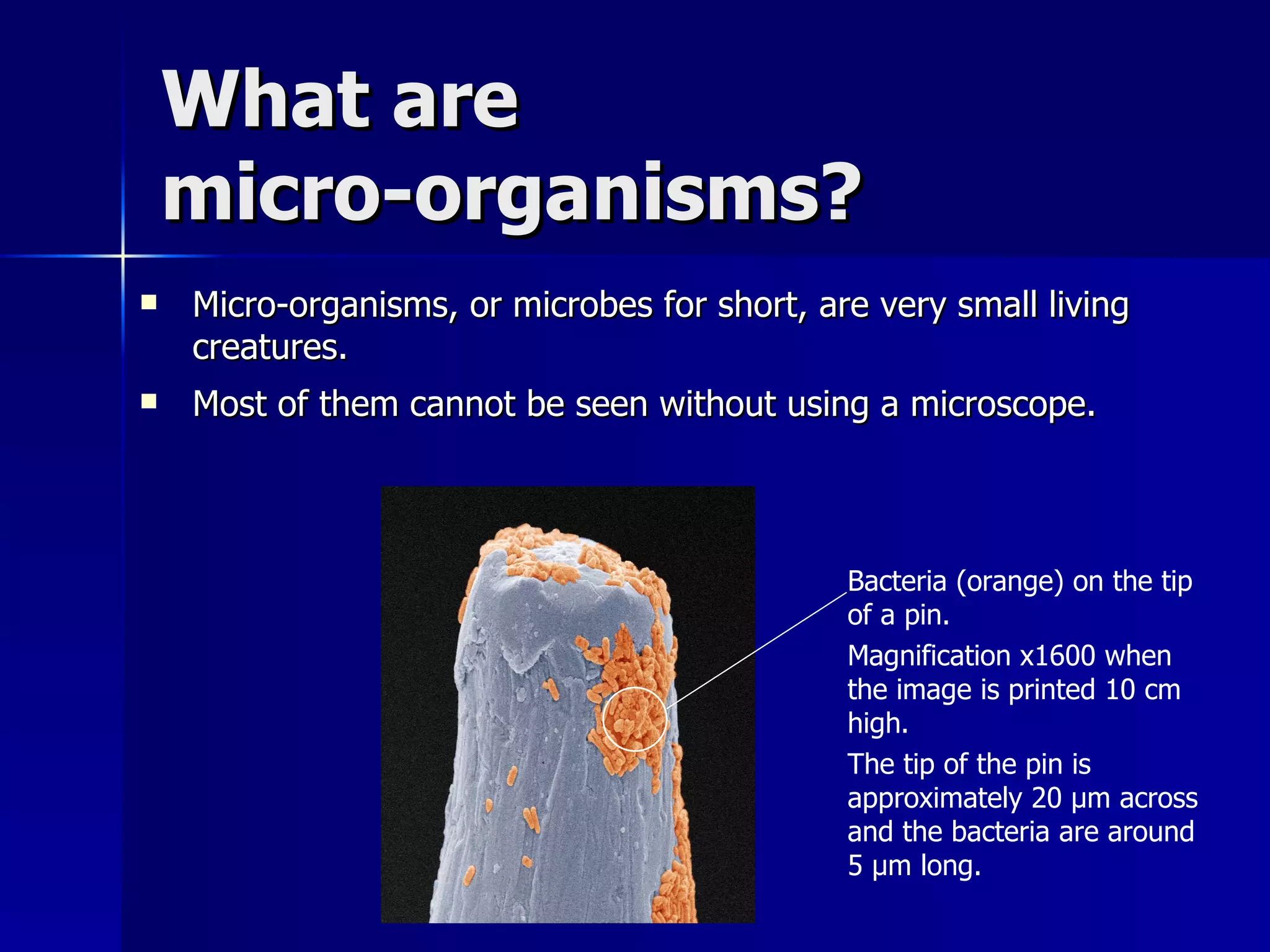 Microbes And Disease | PPT