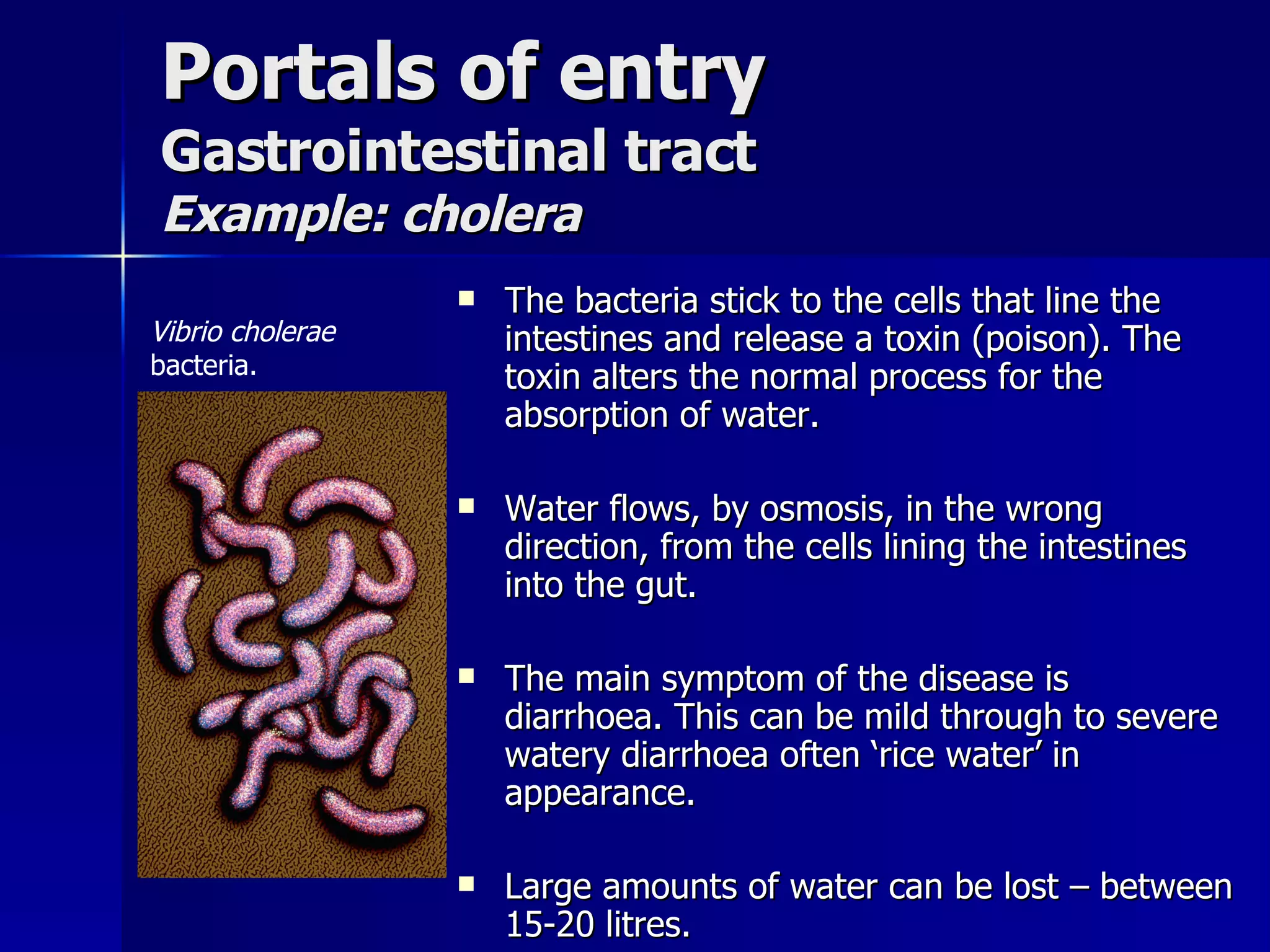 Microbes And Disease | PPT
