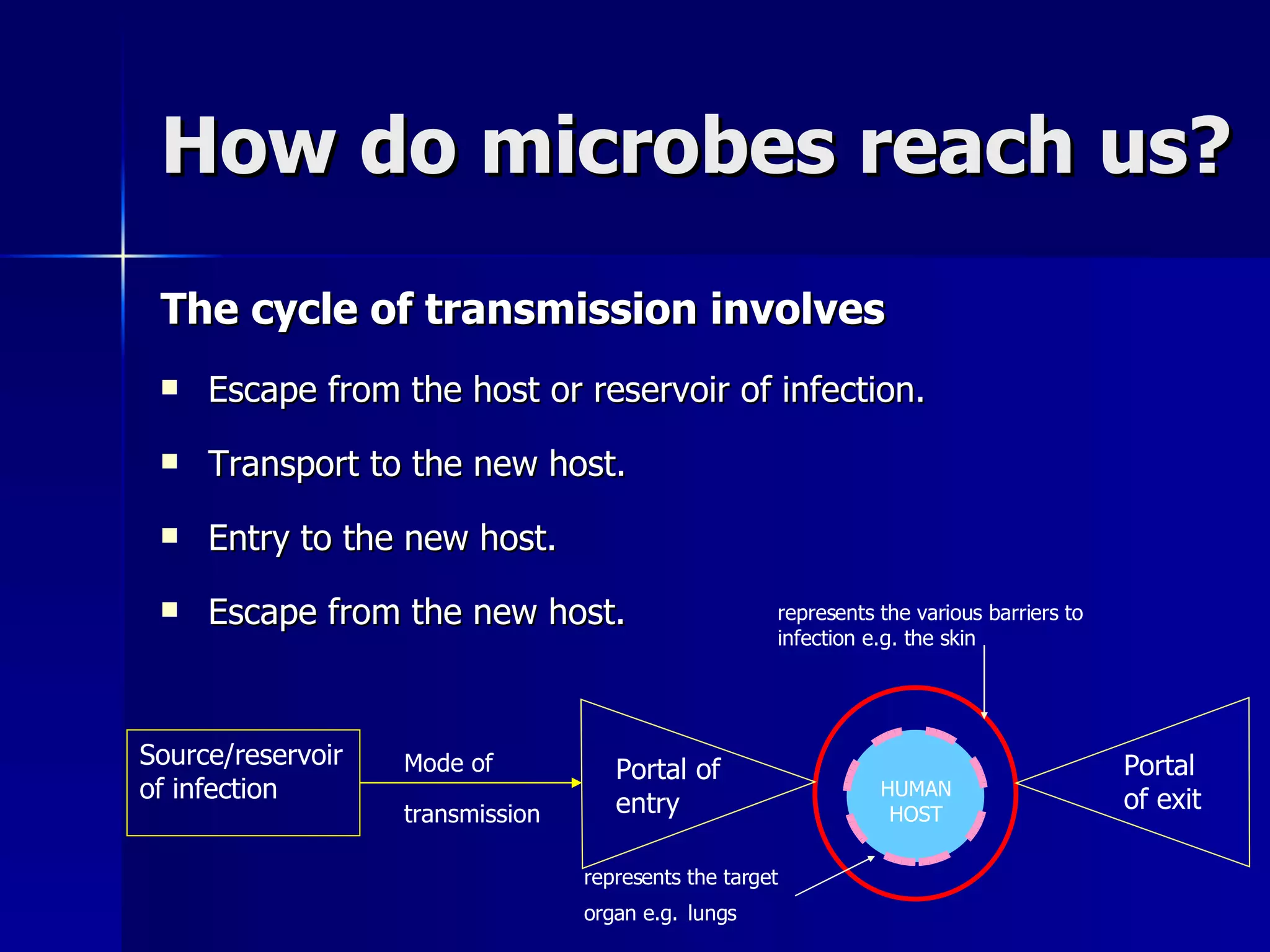 Microbes And Disease | PPT