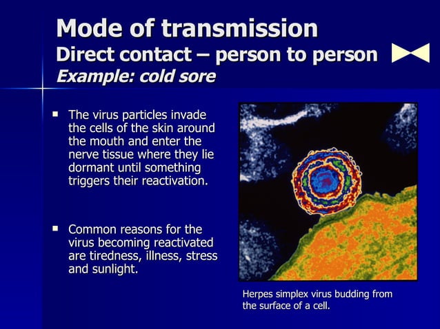 Microbes And Disease | PPT