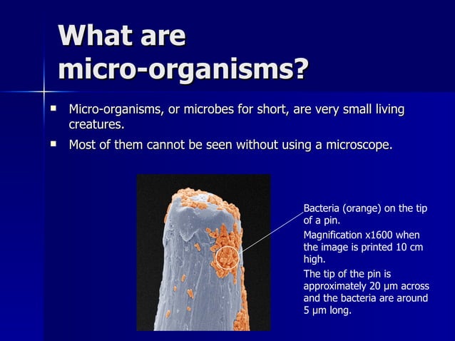 Microbes And Disease | PPT