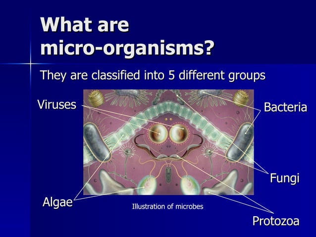 Microbes And Disease | PPT