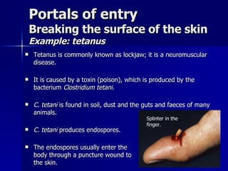Microbes And Disease | PPT