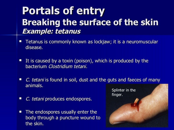 Microbes And Disease