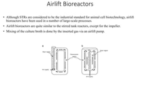 Production of biopharmaceuticals.pptx