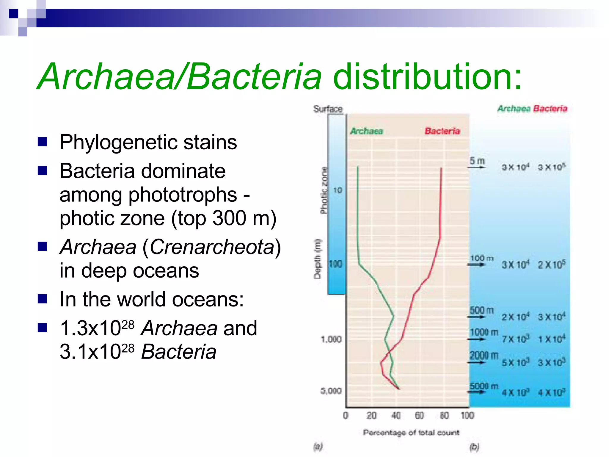 Microbes In Aquatic Marine Ecosystem | PPT