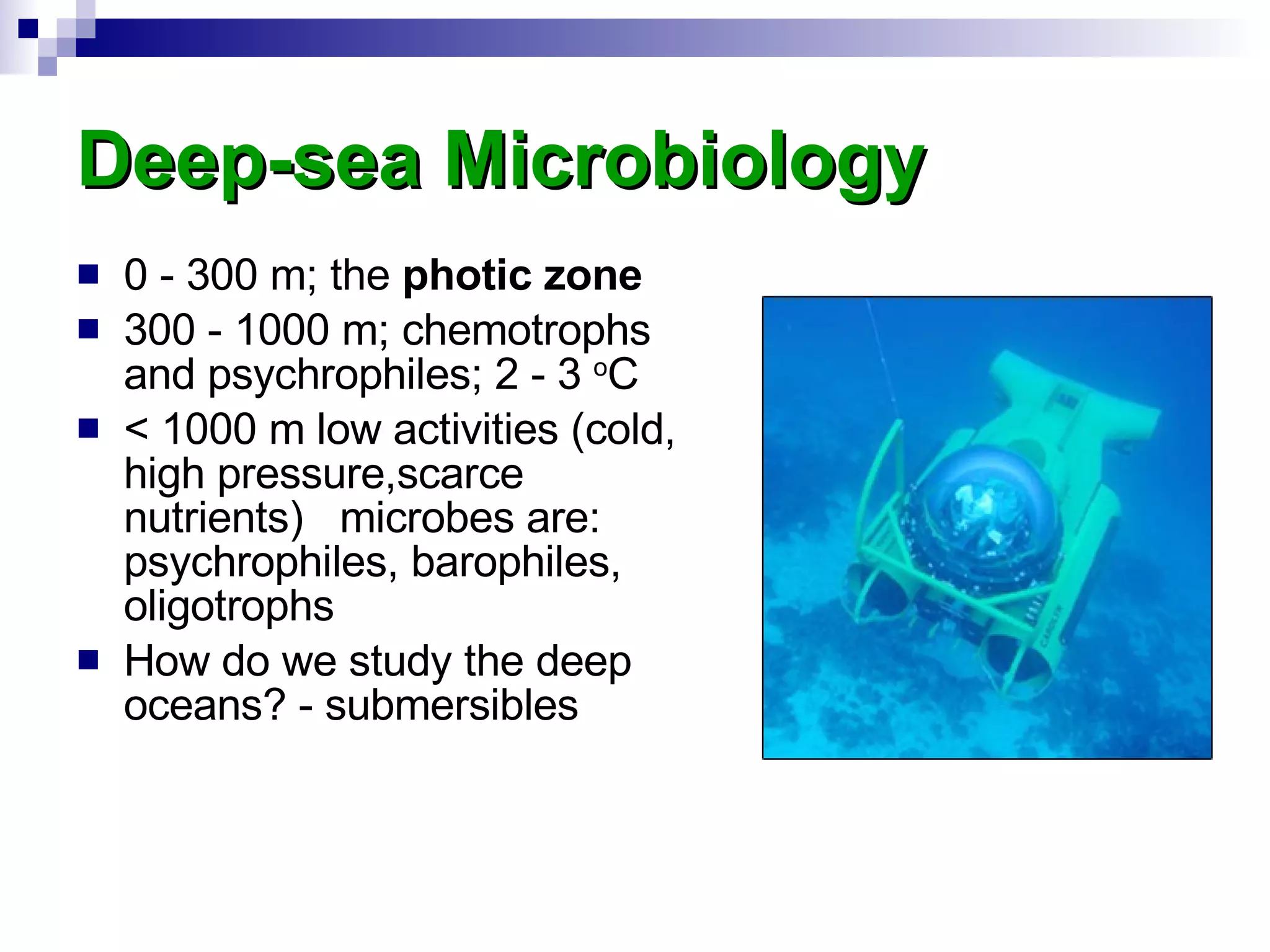 Microbes In Aquatic Marine Ecosystem | PPT