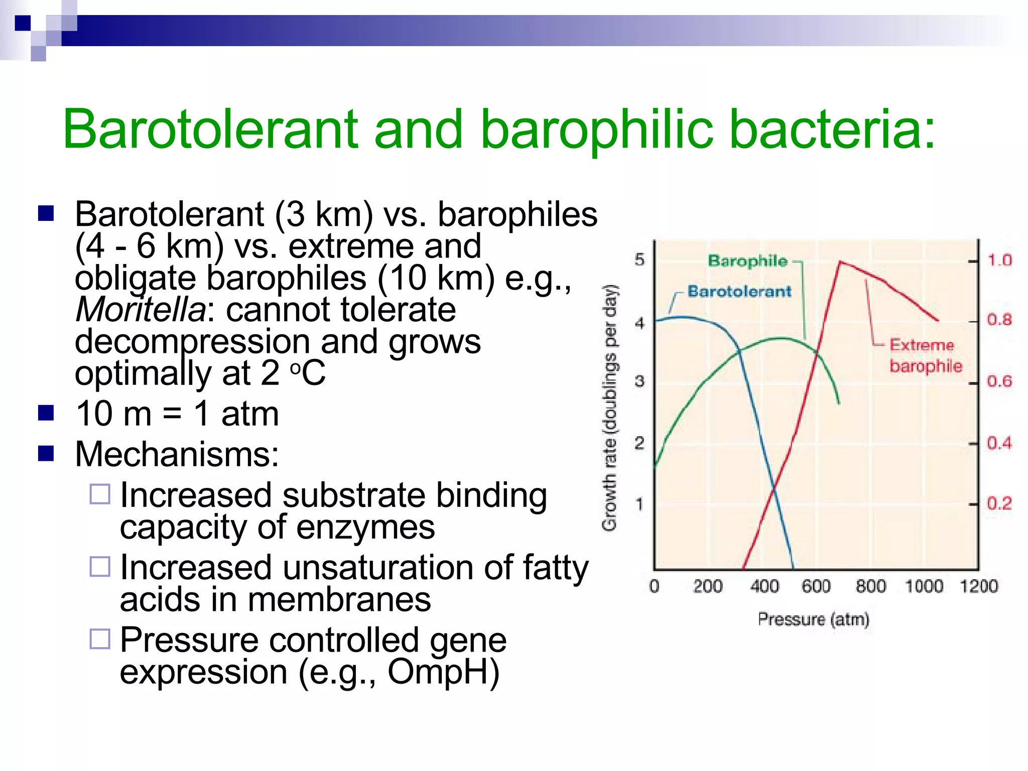 Microbes In Aquatic Marine Ecosystem | PPT