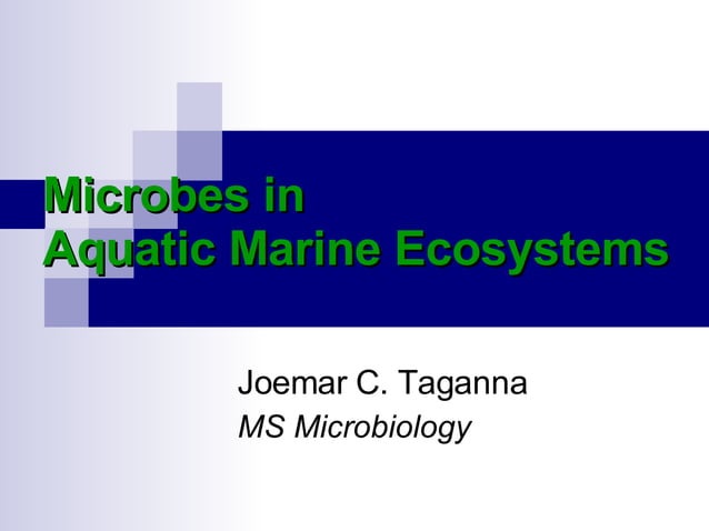 Microbes In Aquatic Marine Ecosystem | PPT