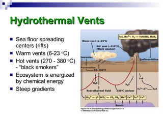 Microbes In Aquatic Marine Ecosystem | PPT