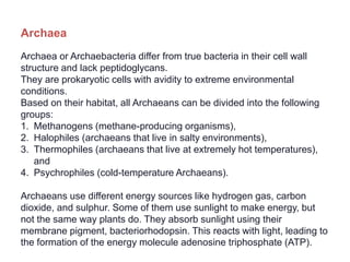 Microbes-Introduction and significance.pptx