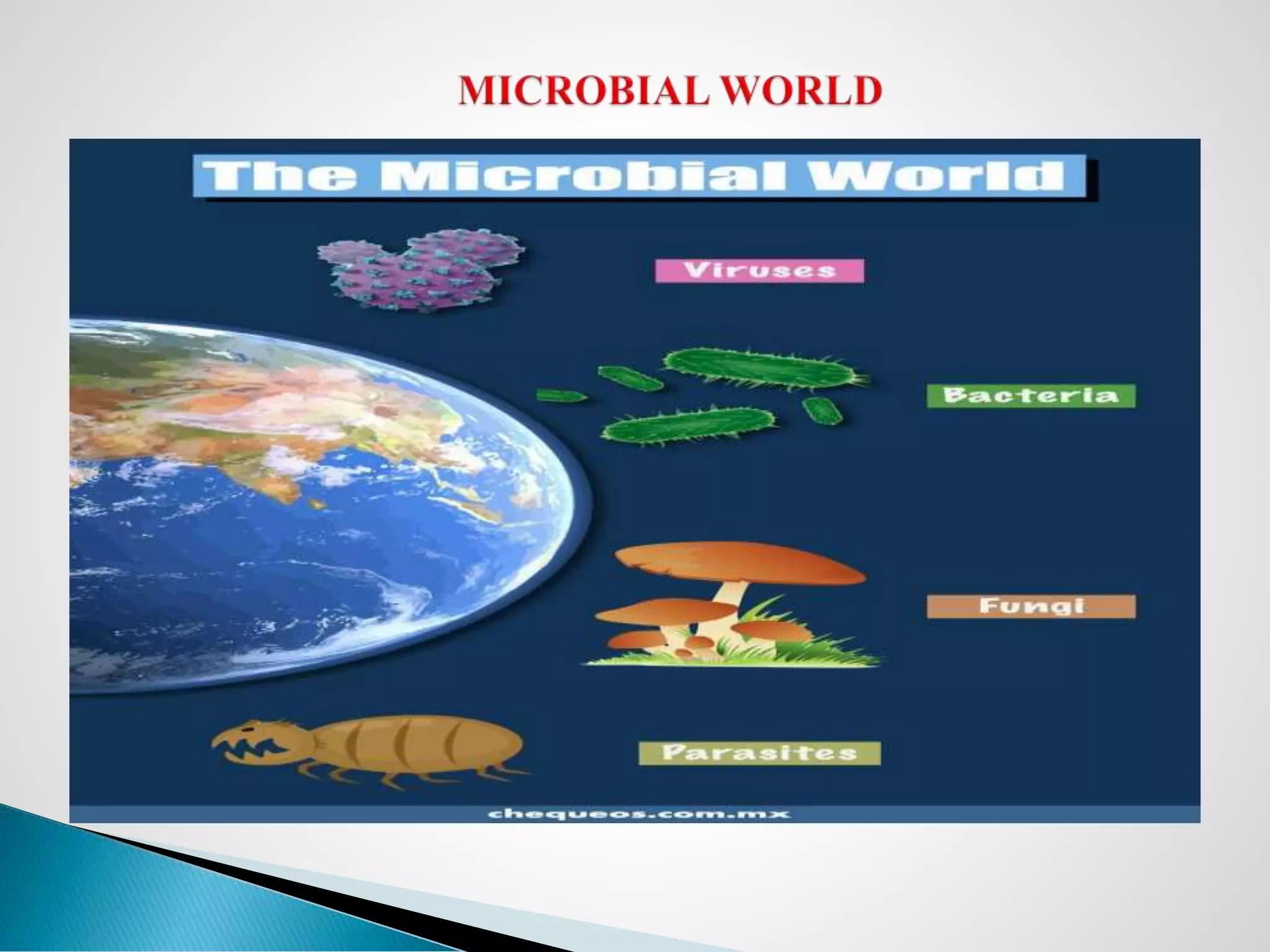 Microbiology-1 | PDF