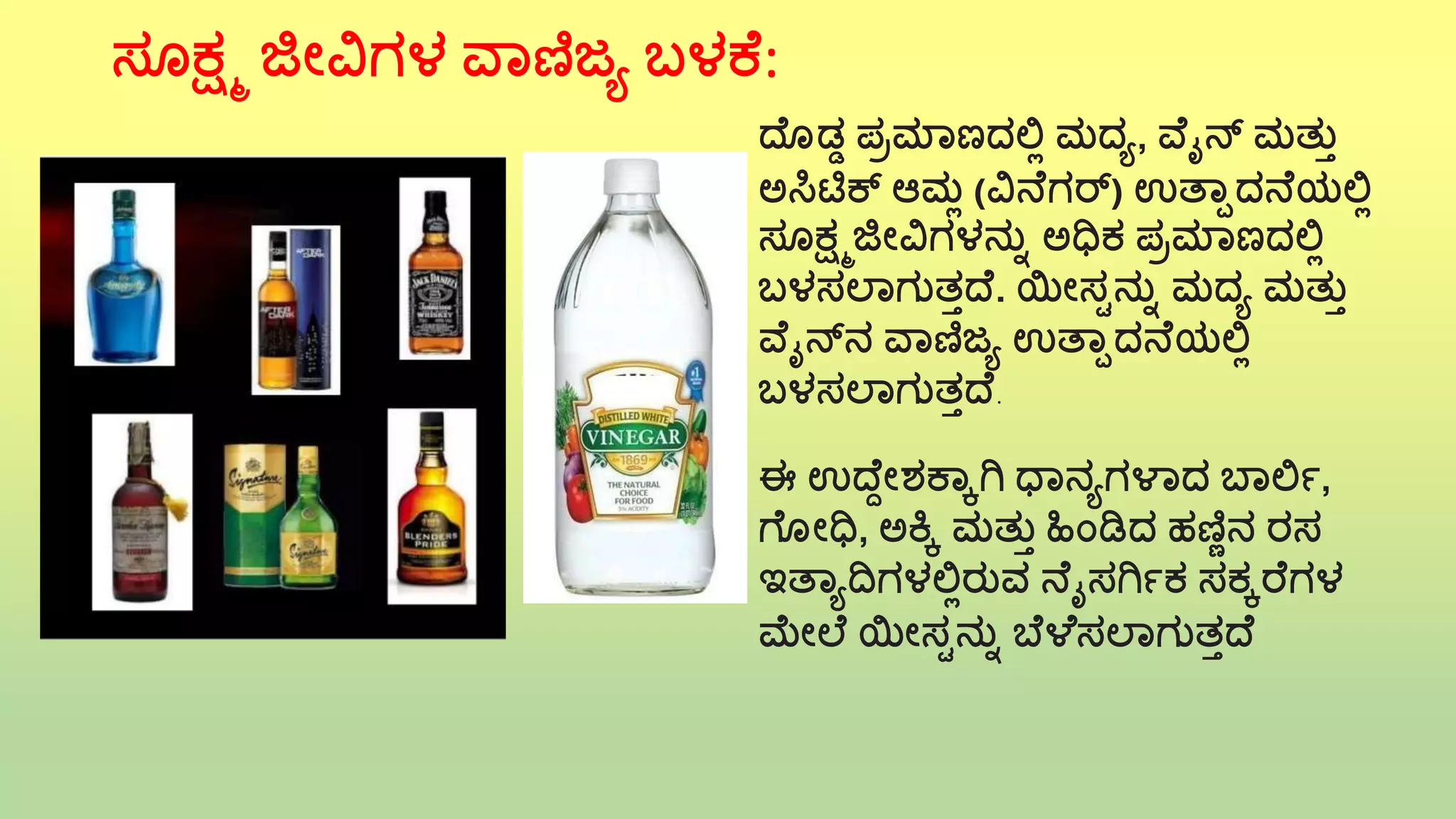 Microbes8 th bsg | PPT