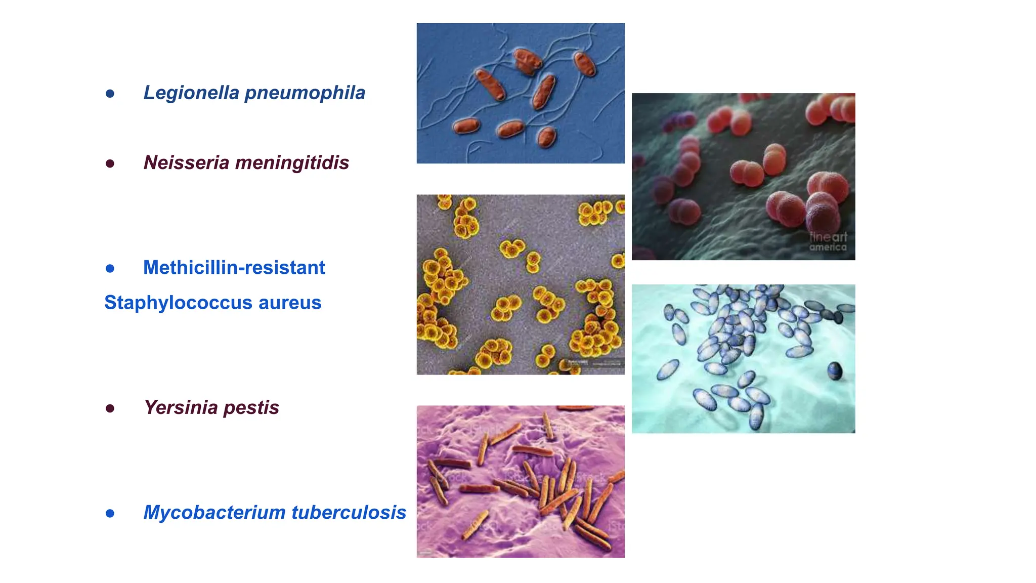 Microbes around us.pptx