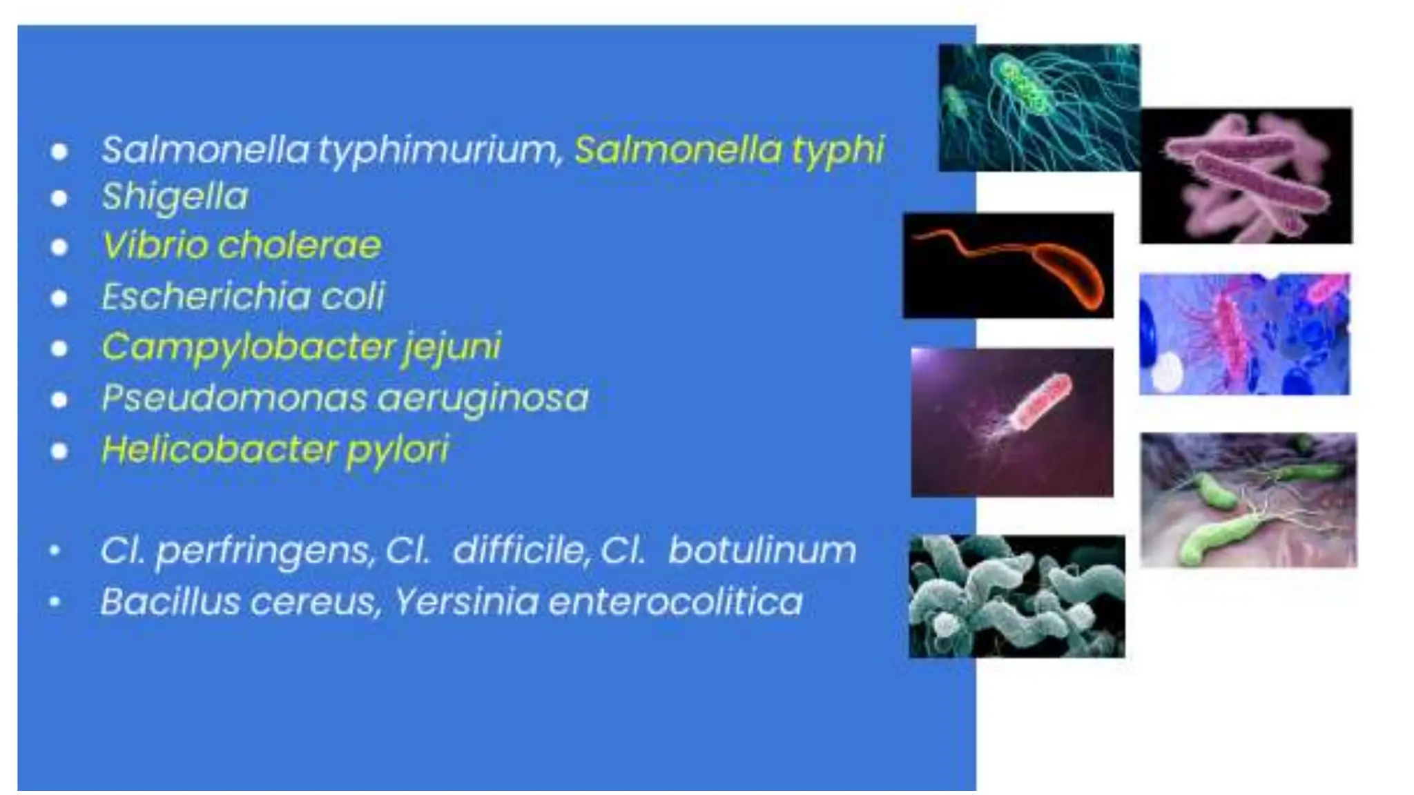 Microbes around us.pptx