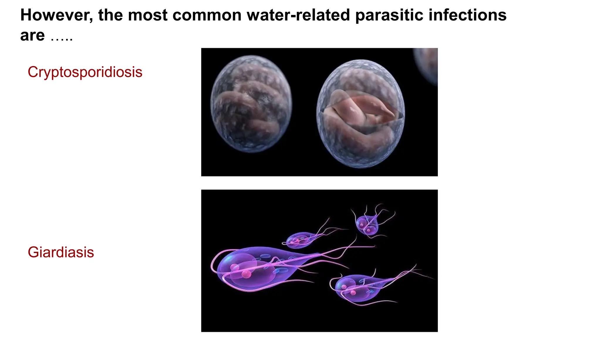 Microbes around us.pptx