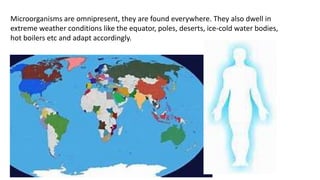 Microbes around us.pptx