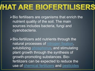 Microbes as biofertilisers | PPTX