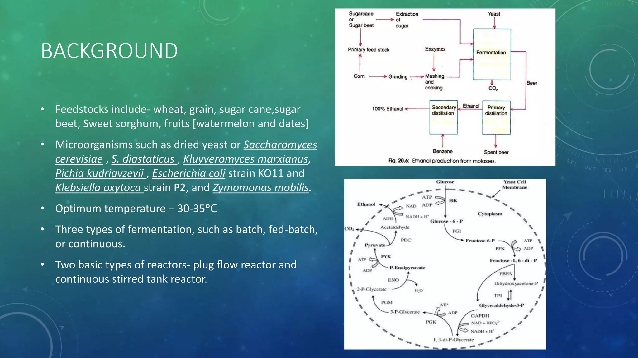 Microbes as biofuels | PPTX