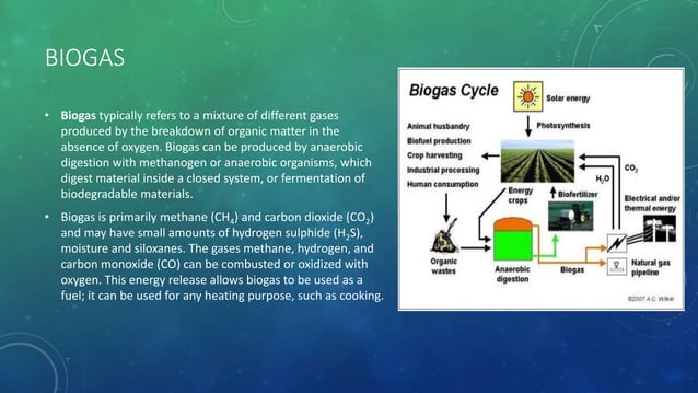 Microbes as biofuels | PPTX