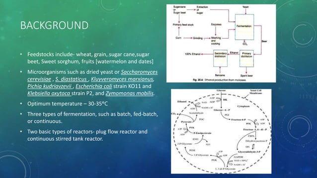 Microbes as biofuels | PPTX