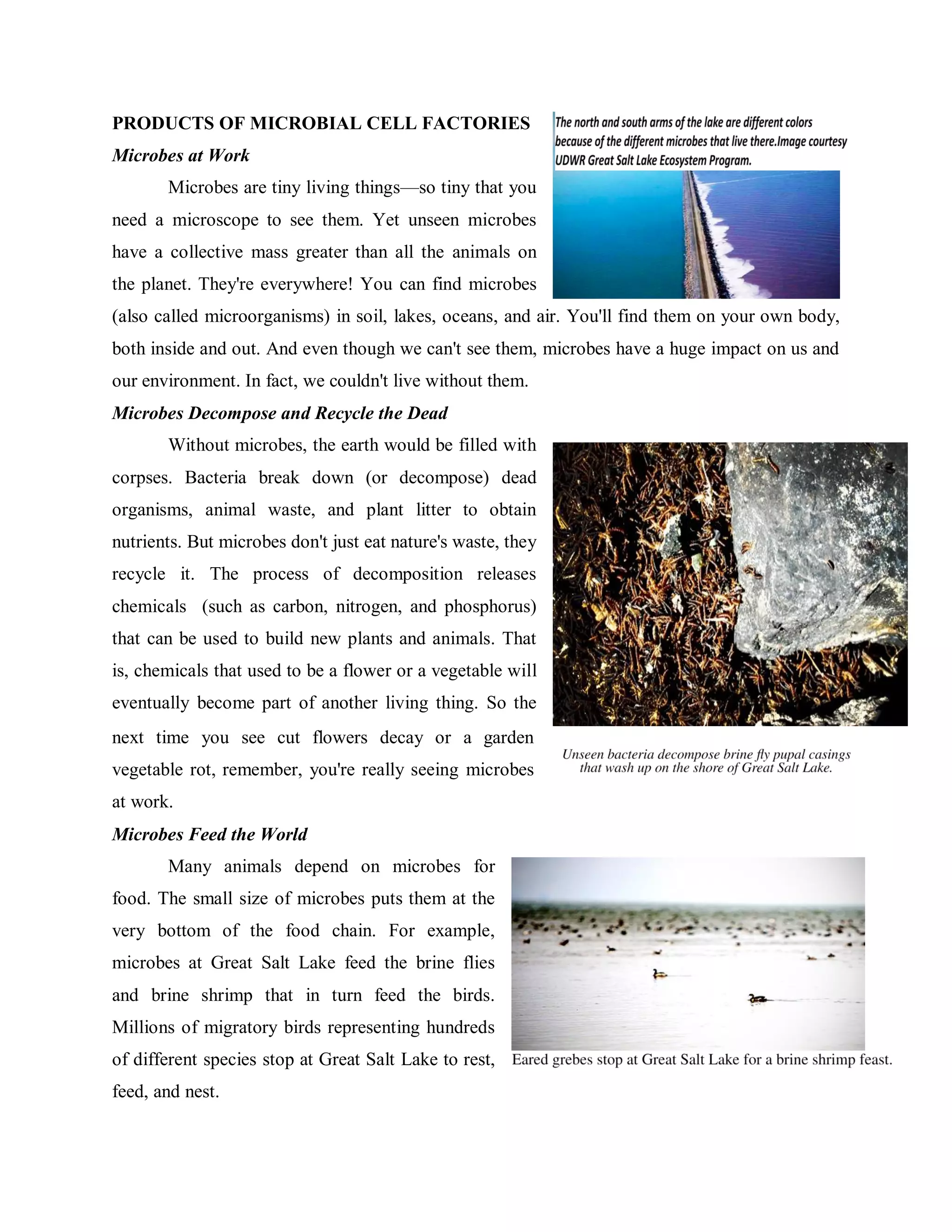 MICROBES_AS_CELL_FACTORIES.pdf