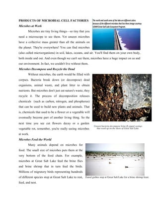 MICROBES_AS_CELL_FACTORIES.pdf