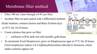 Microbes as test organisms, sensor and tool for energy production ...