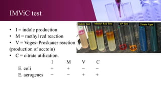 Microbes as test organisms, sensor and tool for energy production ...