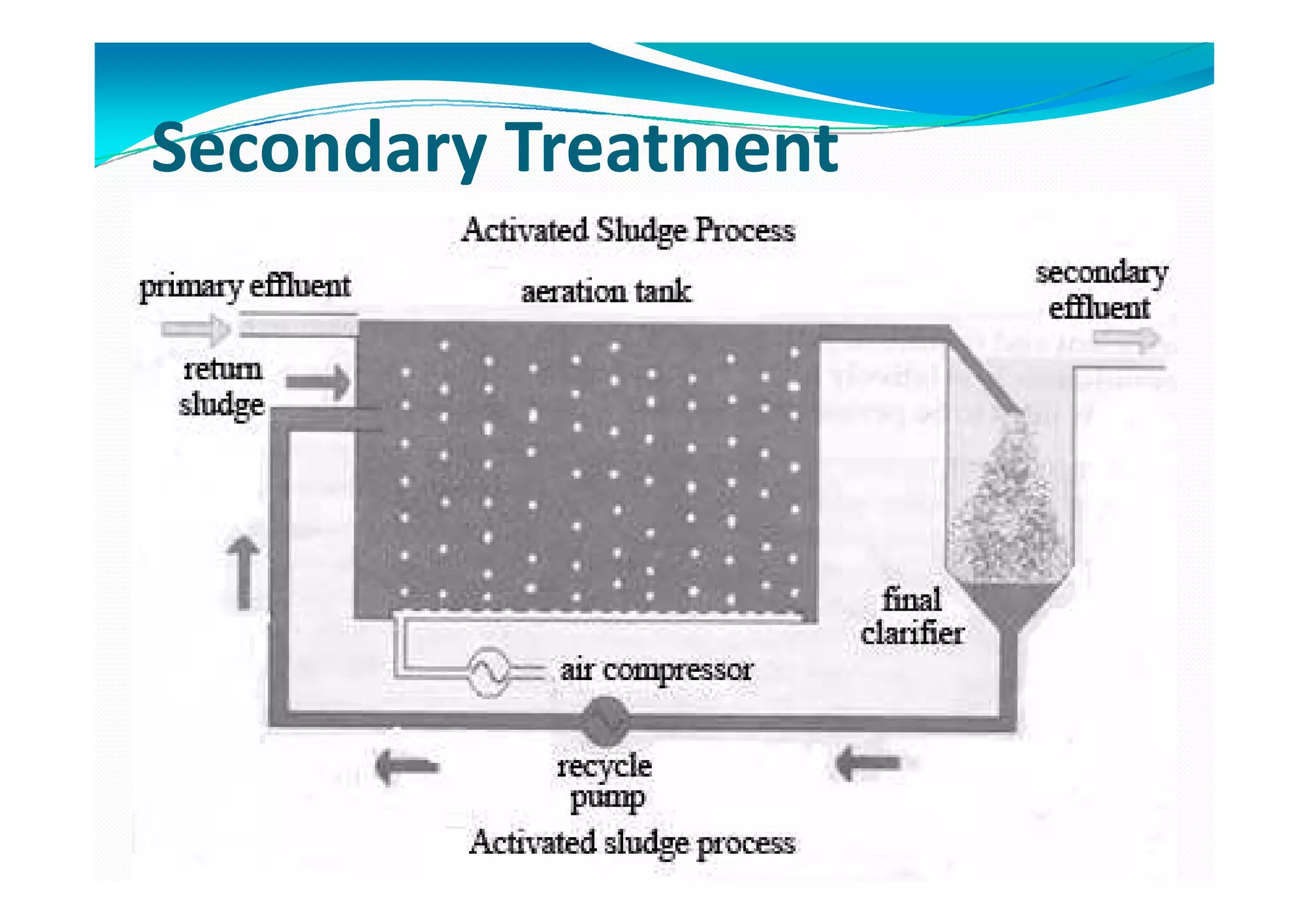 Role of Microbes in Sewage Treatment, in Biogas production, as ...