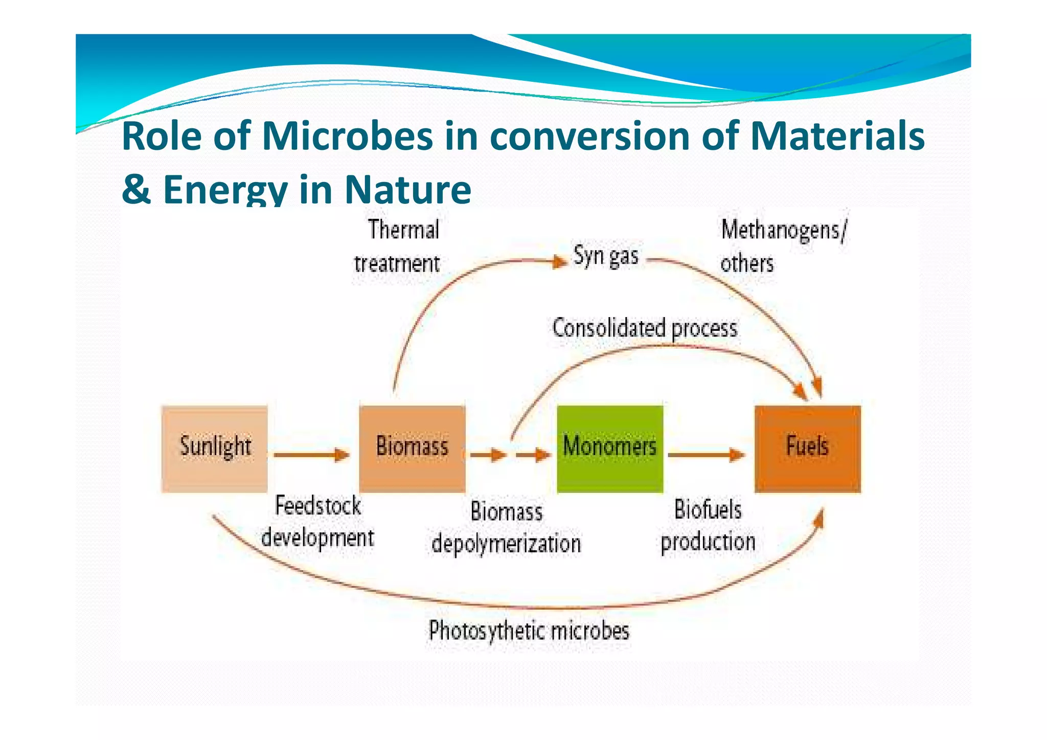 Role of Microbes in Sewage Treatment, in Biogas production, as ...