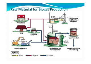 Role of Microbes in Sewage Treatment, in Biogas production, as ...