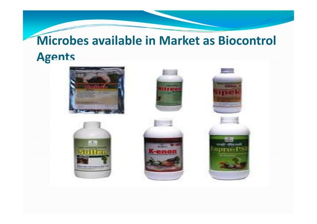 Role of Microbes in Sewage Treatment, in Biogas production, as ...