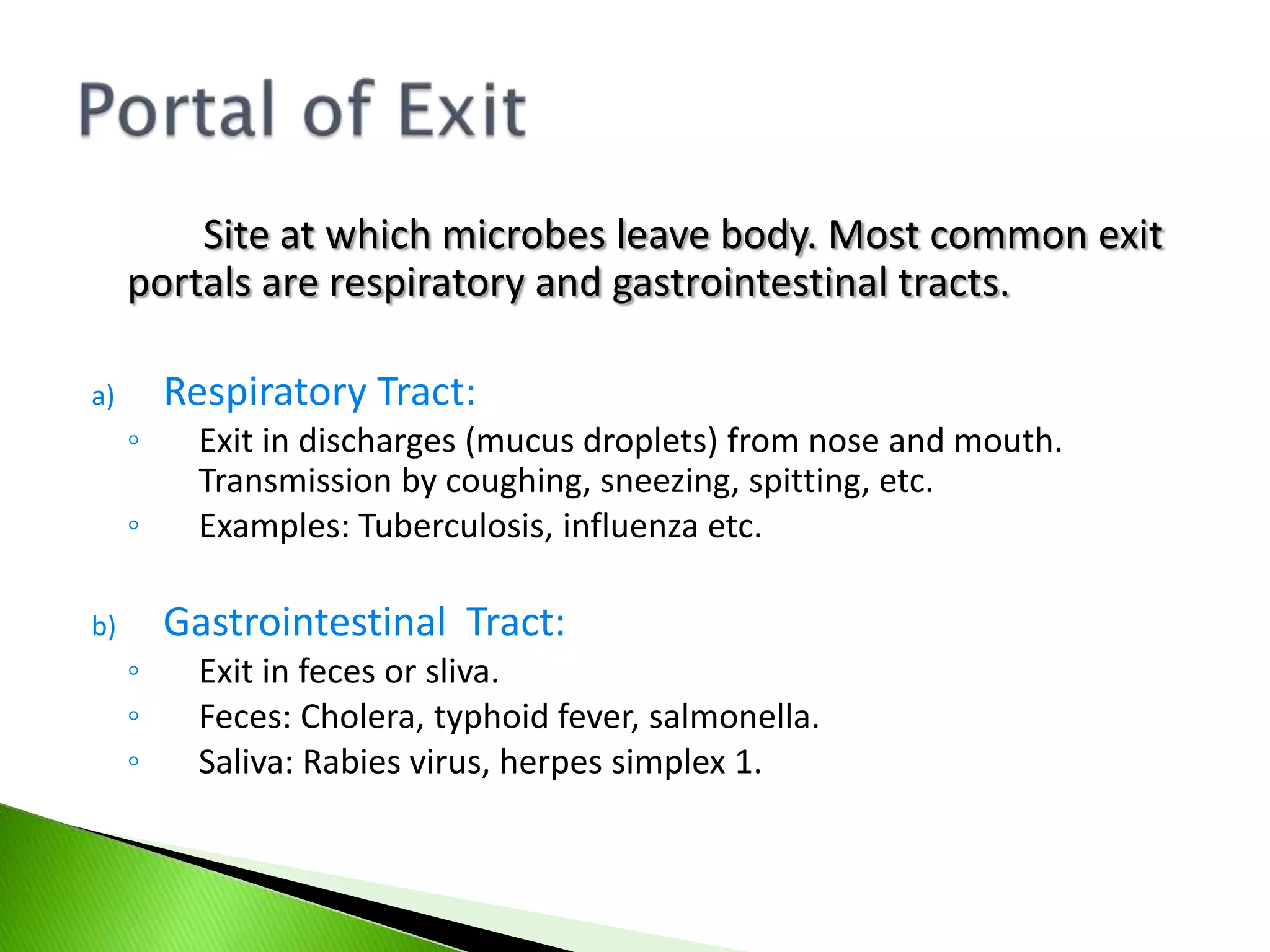 Microbes and diseases | PPTX