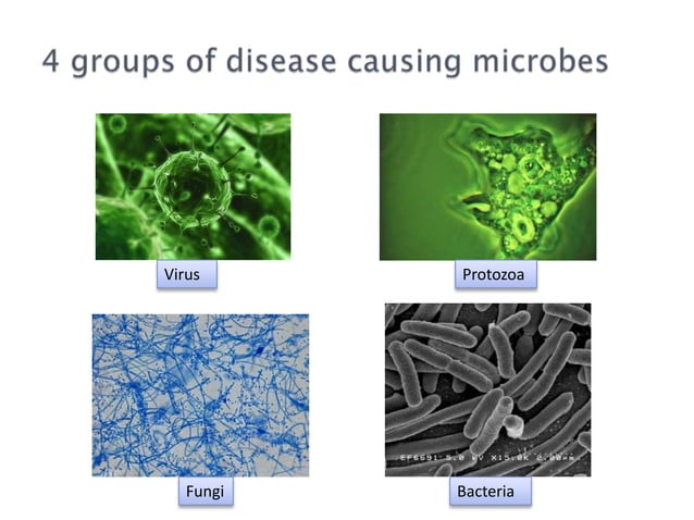 Microbes and diseases | PPTX | Infectious Diseases | Diseases and ...