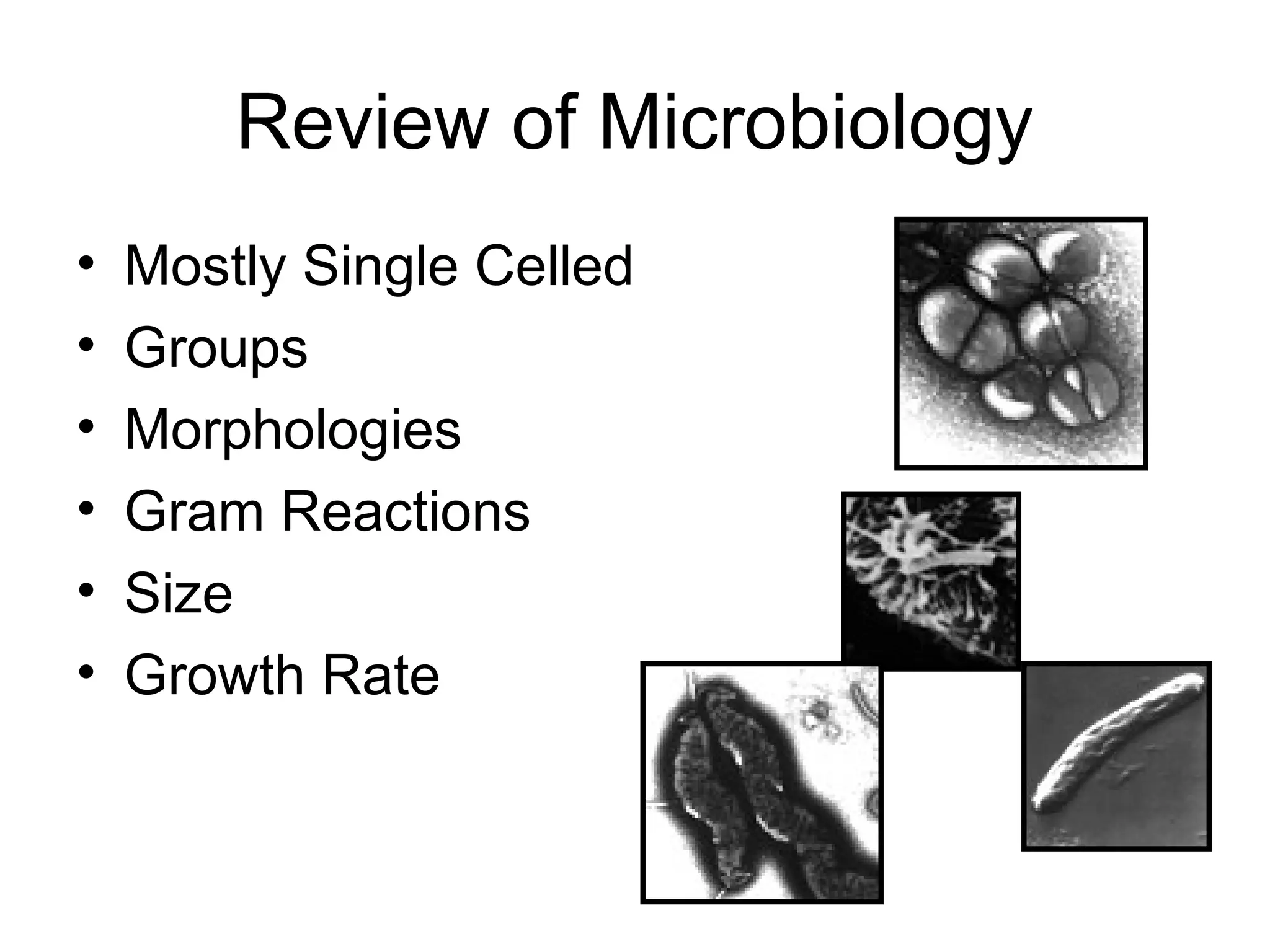 Microbes for humans, food microbiology and basics | PPT